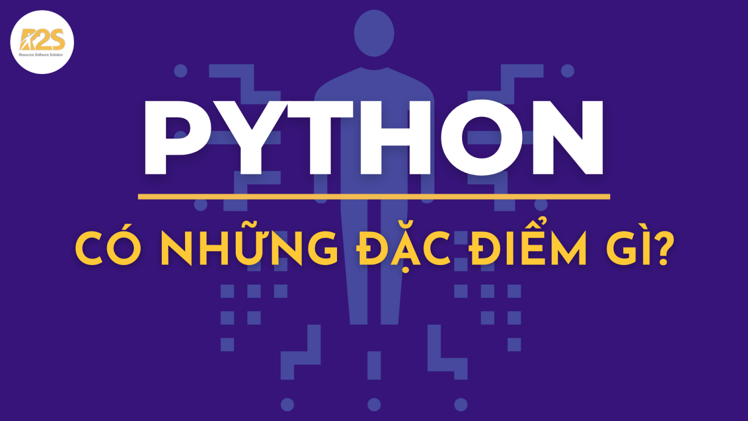 Python là gì? Tổng quan kiến thức
