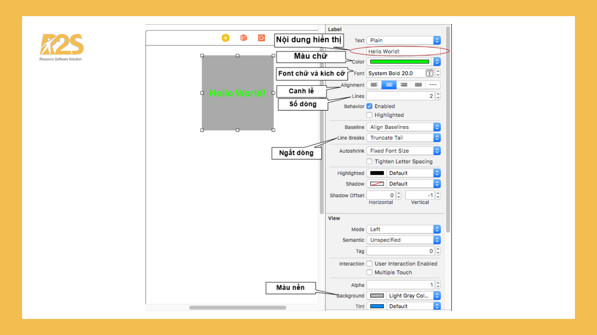 Thiết kế giao diện trong iOS - R2S Academy